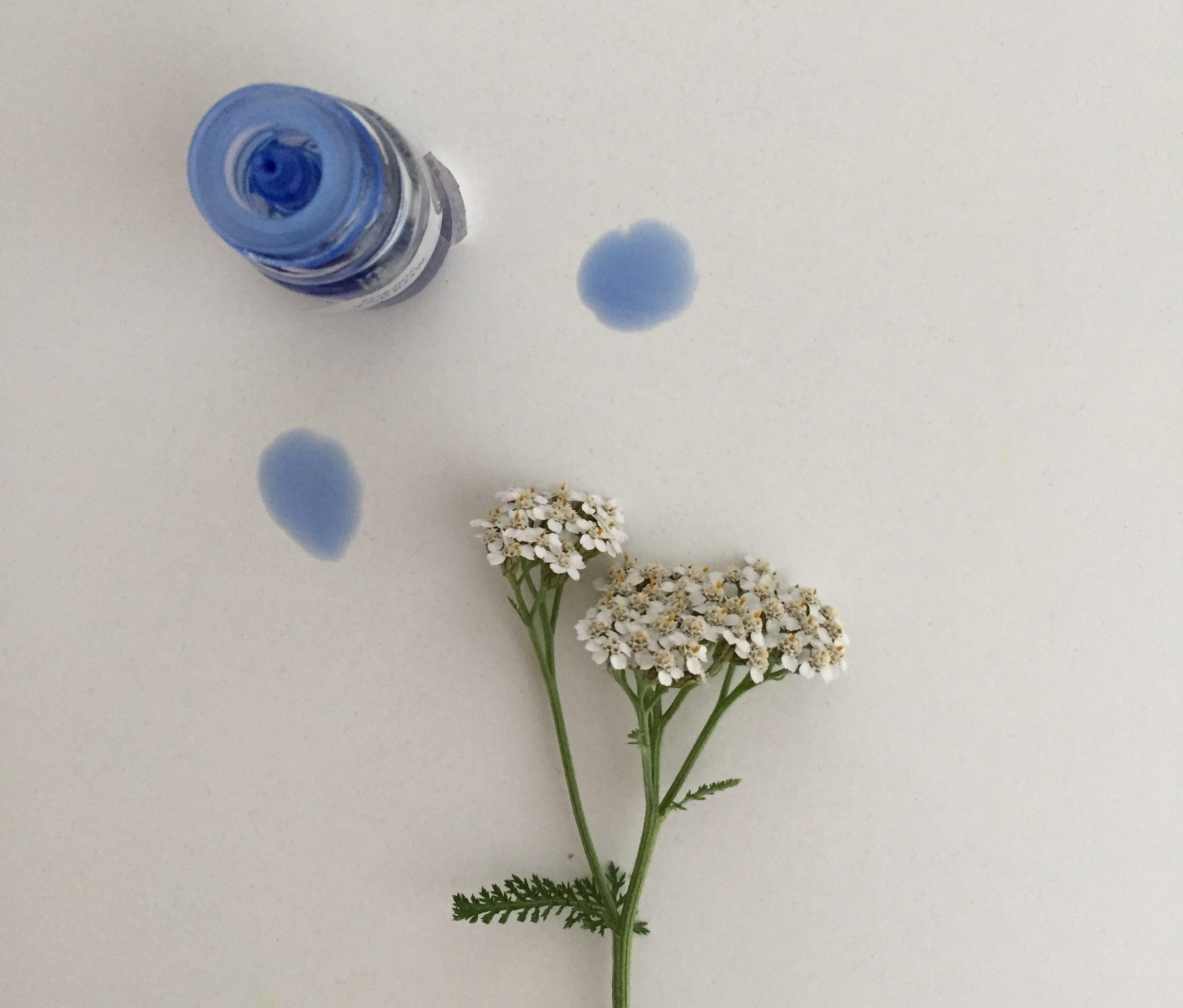 Balms | Essential Oils and You